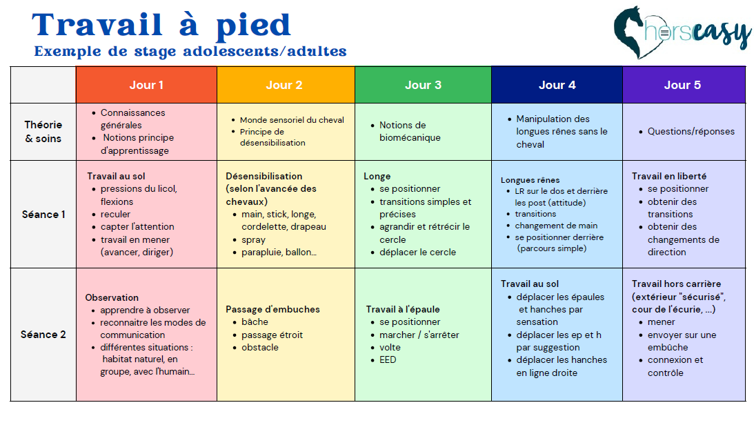 3 exemples de stages d'équitation thématiques à proposer + plannings ...