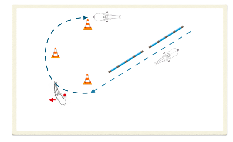 Déplacement des hanches